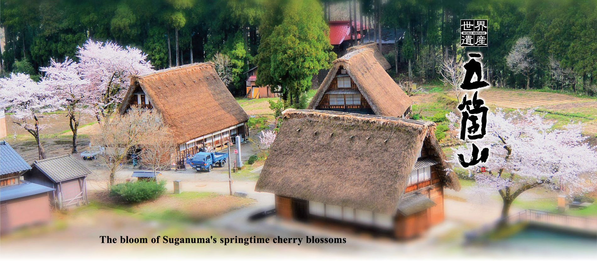 GOKAYAMA SAISAIGOKAYAMA Official Travel Guide