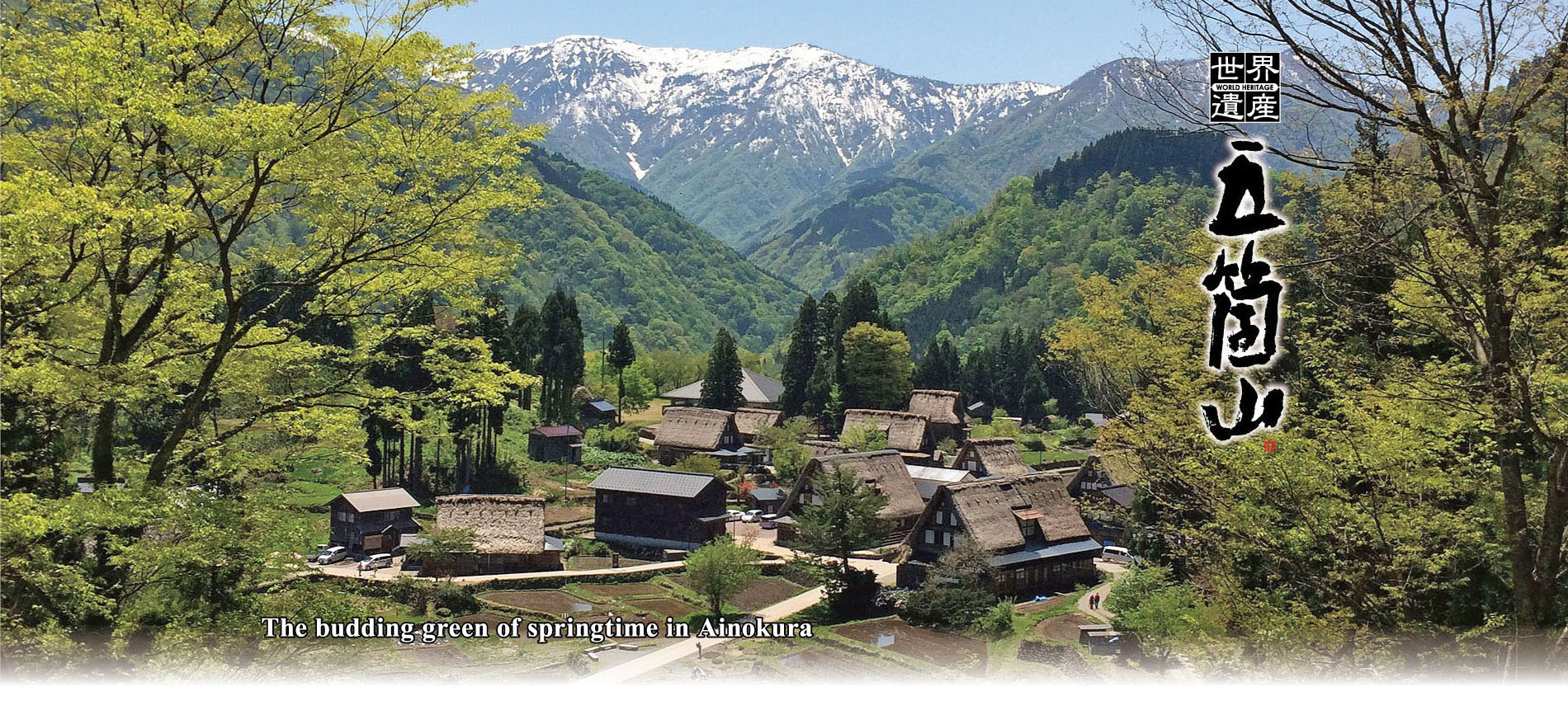 GOKAYAMA SAISAIGOKAYAMA Official Travel Guide