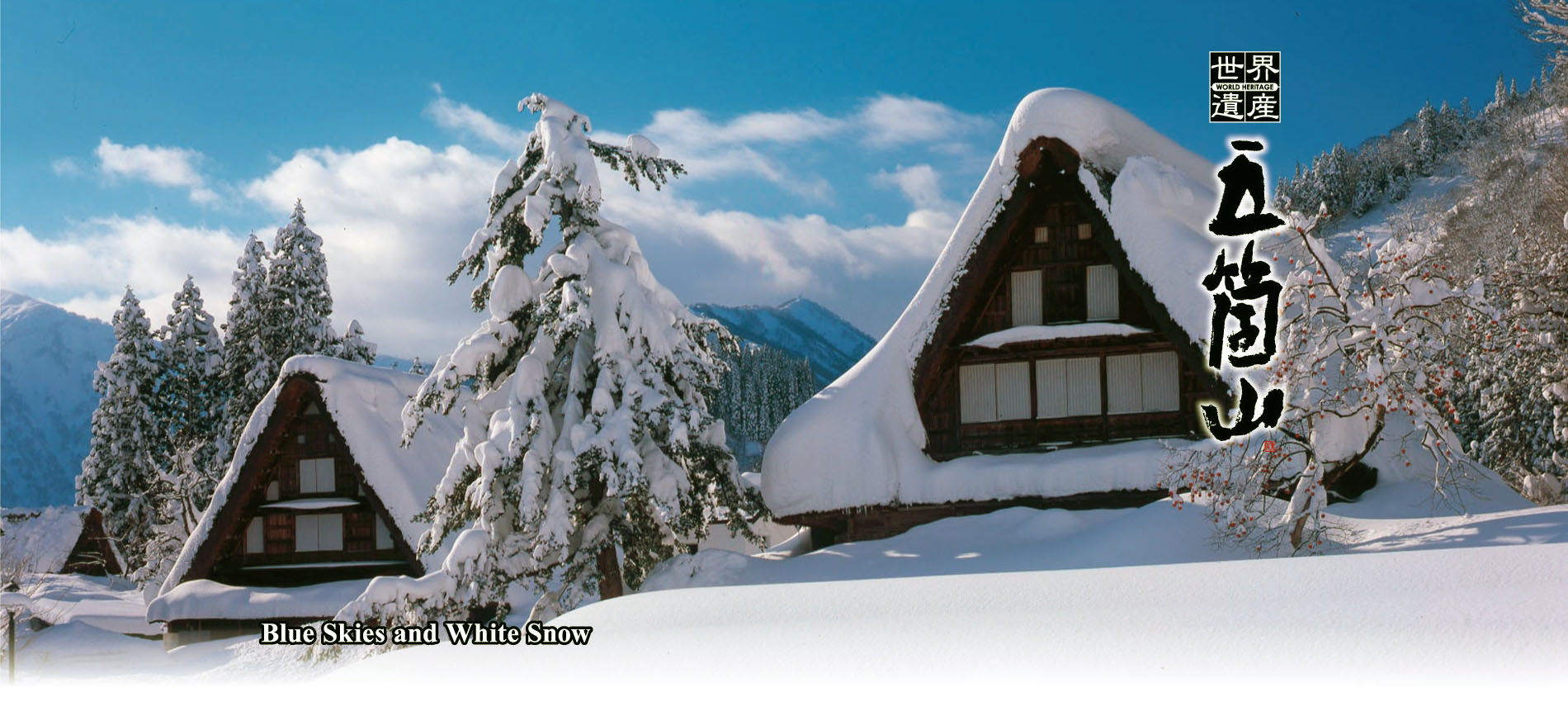 GOKAYAMA SAISAIGOKAYAMA Official Travel Guide